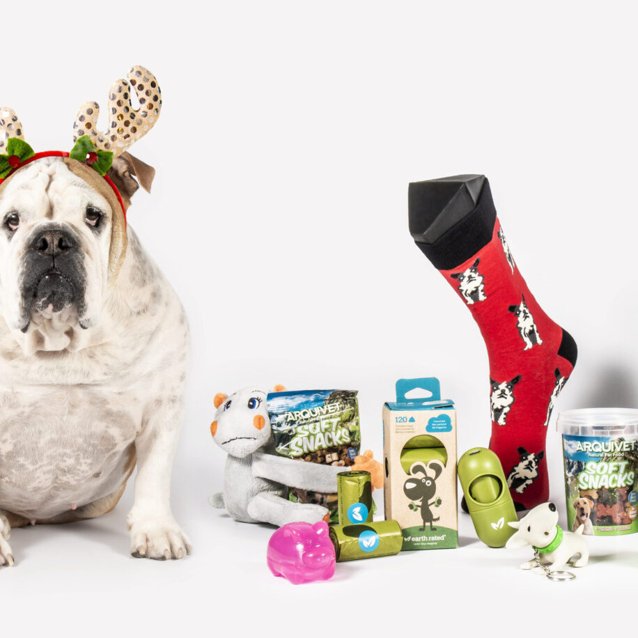 REGALOS ORIGINALES PARA PODER REGALAR A TU PERRO